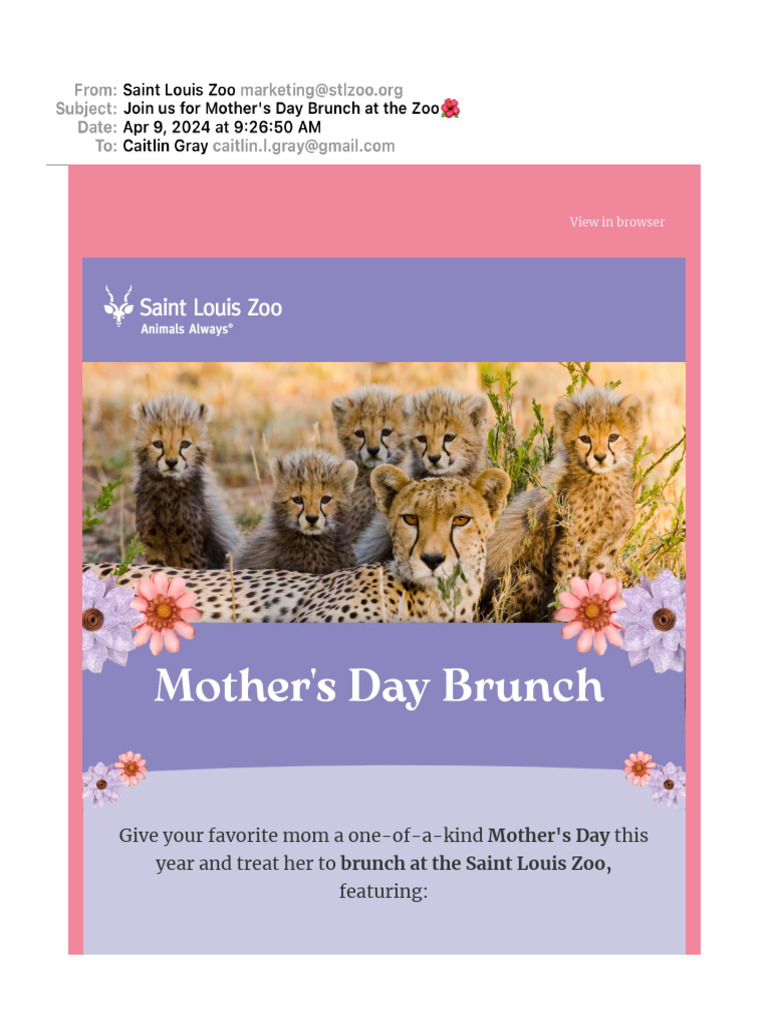 Mother's Day Brunch at Saint Louis Zoo | PDF