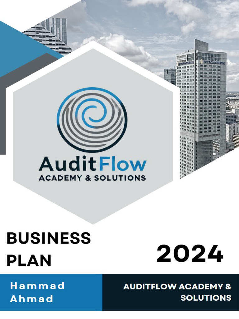 EB2 NIW AuditFlow Initiative Overview | PDF | Audit | Accounting