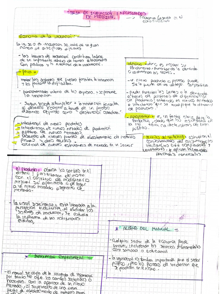Mapa Conceptual Cap 2 Manual de Oslo | PDF