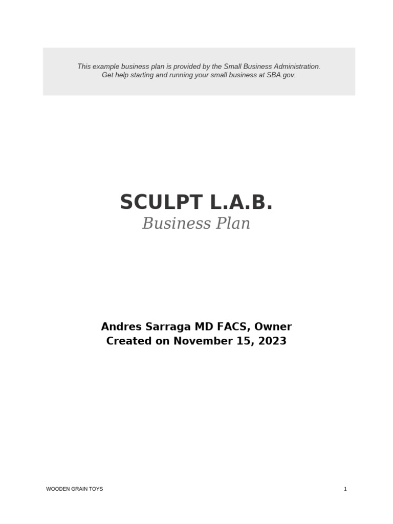 Sculpt L.A.B. Business Plan Overview | PDF | Online Advertising | Toys