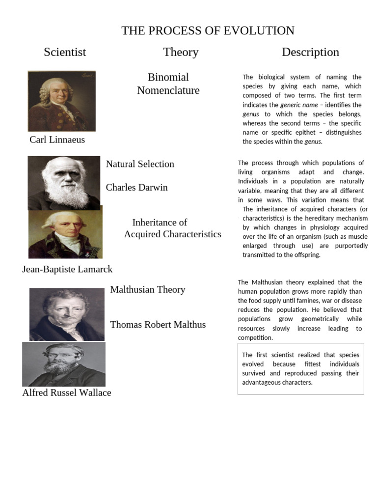 Malthusian Theory and Evolution Explained | PDF | Species | Evolution