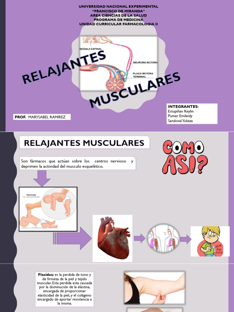 Fármacos Relajantes Musculares y Mecanismos | PDF | Neurona motora ...