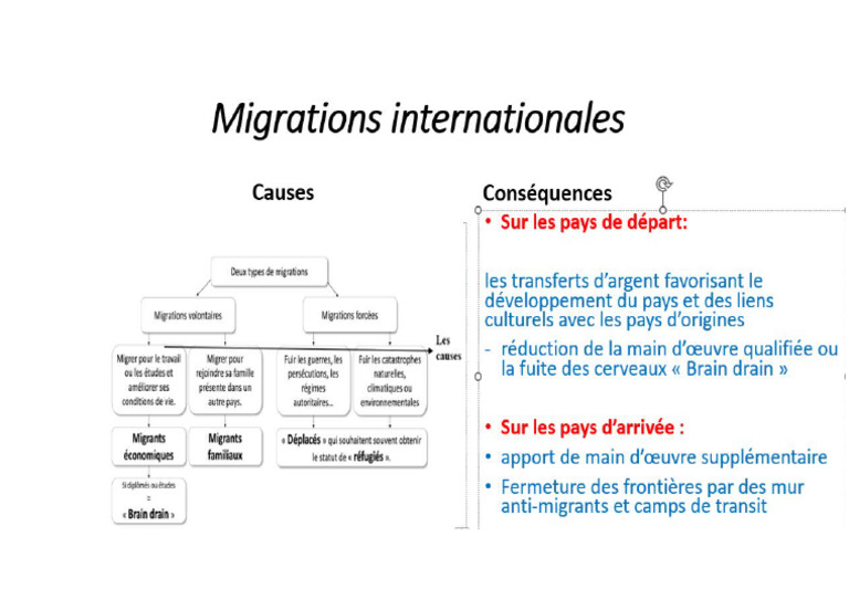Bilan Migration Pdf