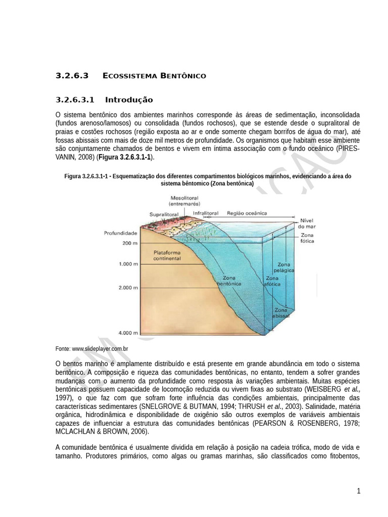 Ecossistema bentonico | PDF | Biologia | Ecologia