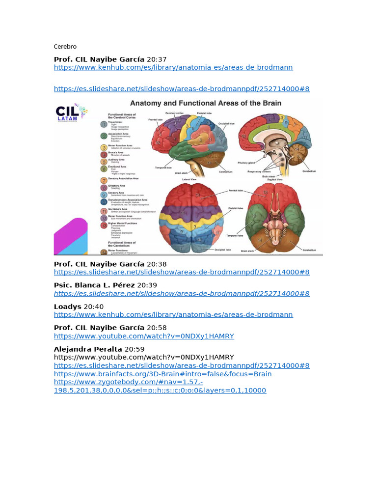 CIL_Cerebro | PDF