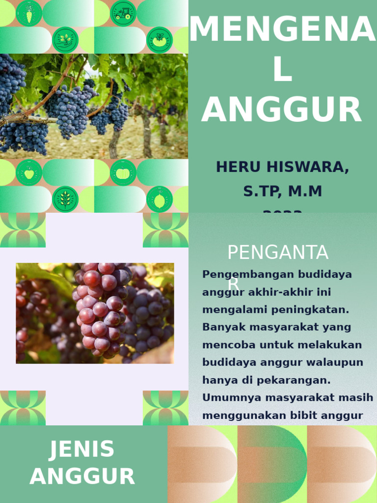 Mengenal Anggur | PDF | Microsoft Power Point