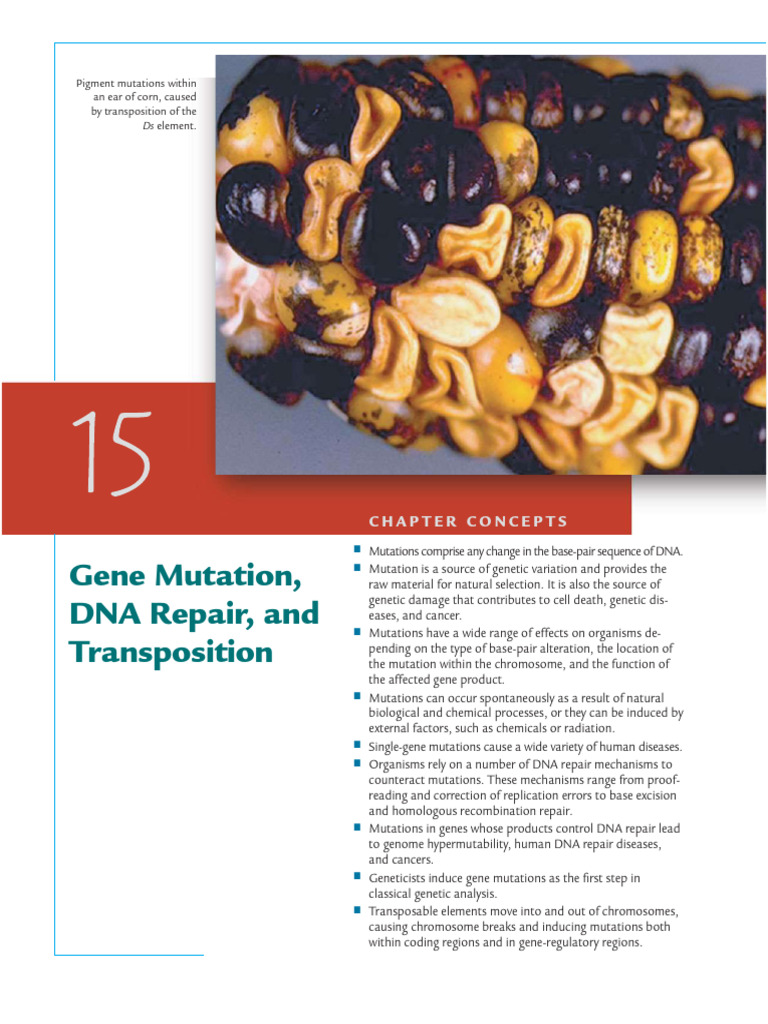 PDFReader_20241201_1530 | PDF | Mutation | Genetics