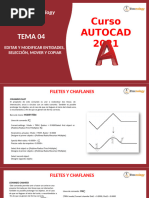 Movimiento y Copia en AutoCAD | PDF