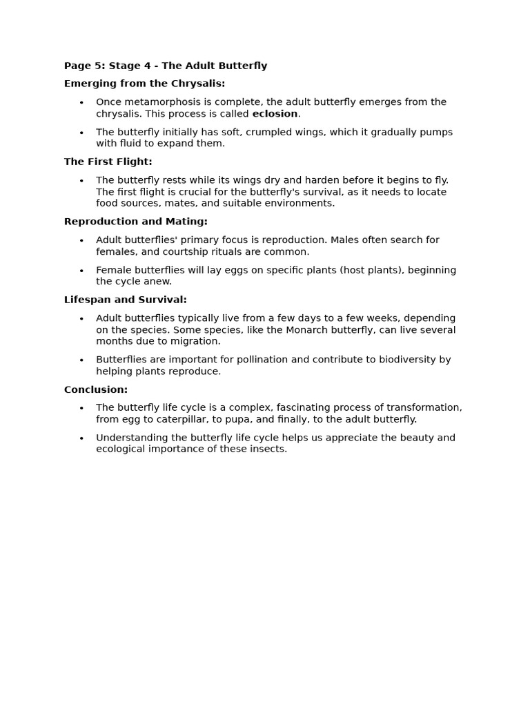 Butterfly 5 | PDF