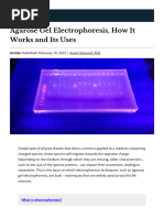 How To Read, Interpret and Analyze Gel Electrophoresis Results | PDF | Gel Electrophoresis ...