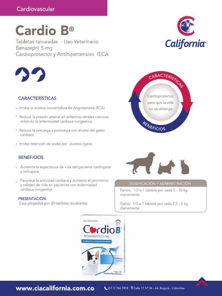 Cardio B | PDF