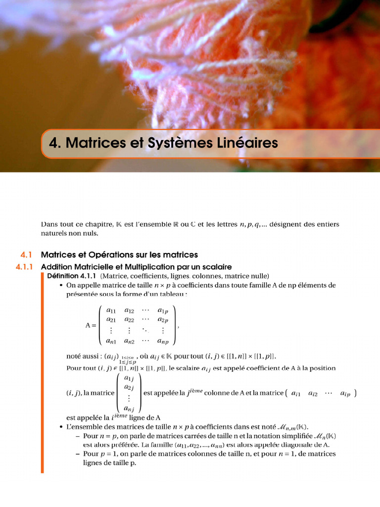 Cours Sur Les Matrices | PDF