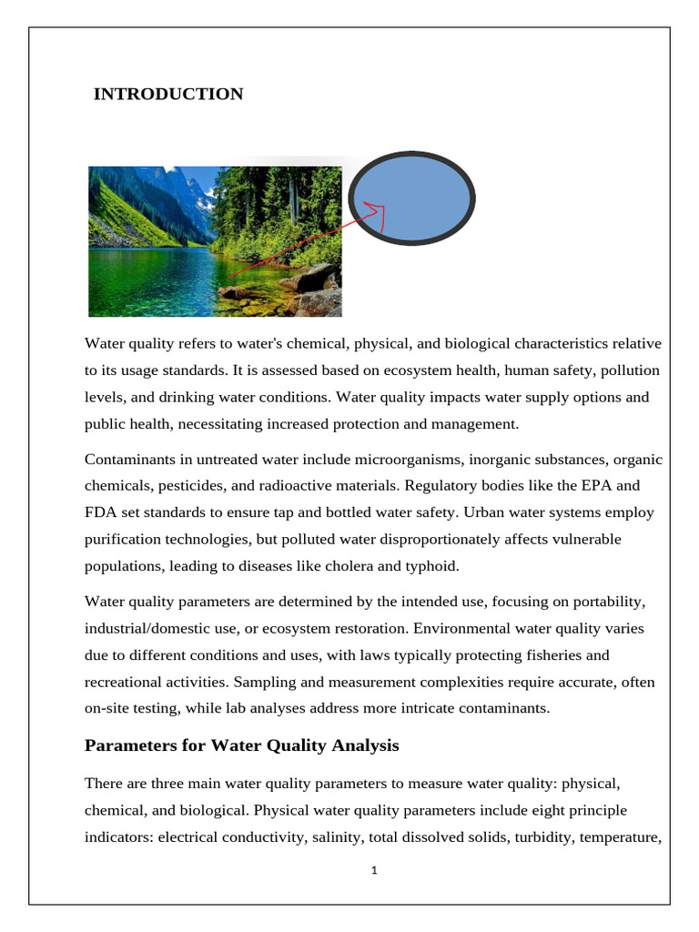 Chemistry Project 2024 PD | PDF | Water Quality | Titration