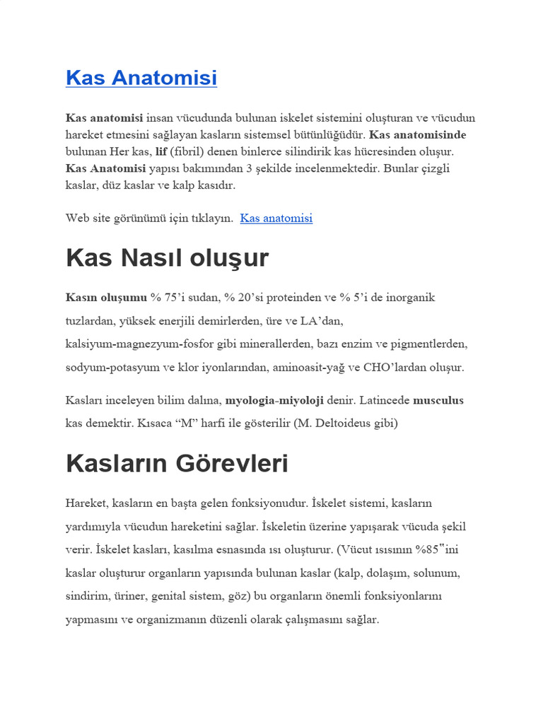 Kas Anatomisi Human Muscular System | PDF