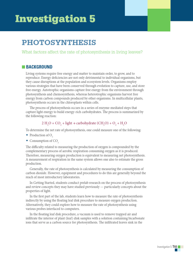 Investigating Photosynthesis Rates | PDF | Photosynthesis | Carbon Dioxide