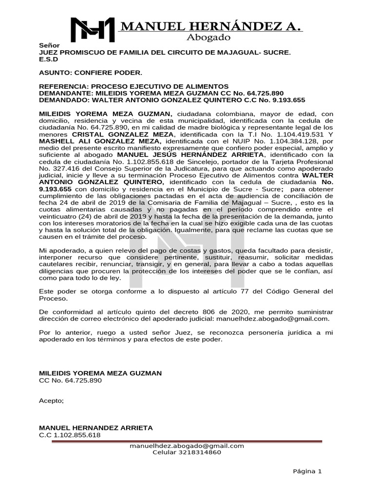 Poder - Demanda Ejecutiva de Alimentos | PDF | Justicia | Crimen y violencia