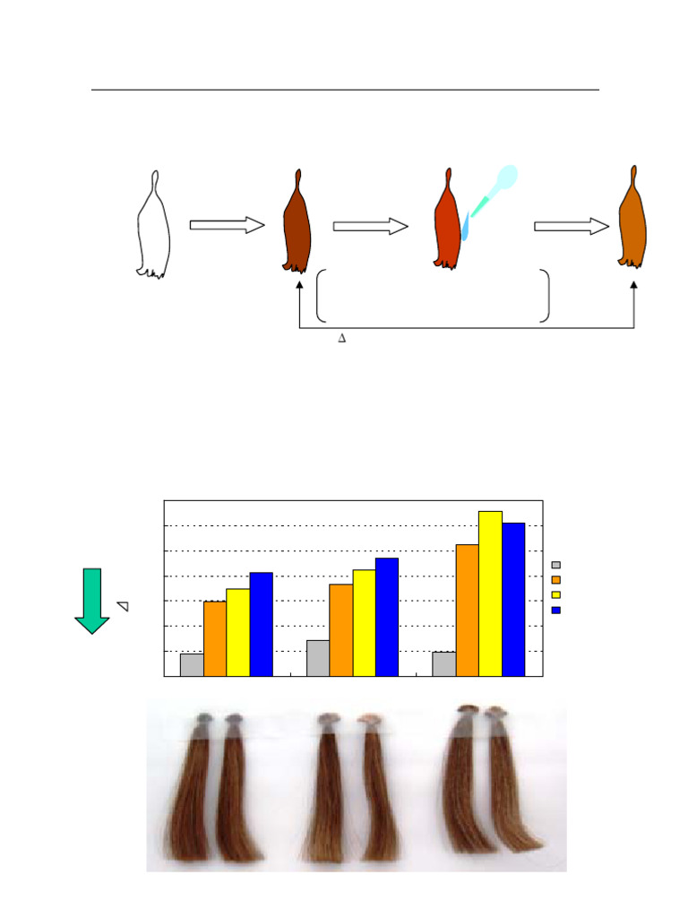 Effect of Amilite ACS-12 On Hair Color | PDF