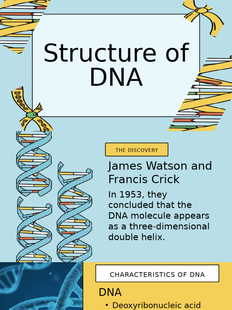 DNA Structure and Function Explained | PDF