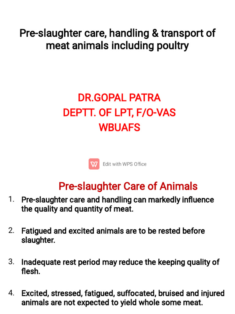 Pre Slaughter Care, Handling and Transport of Meat Animals Including ...
