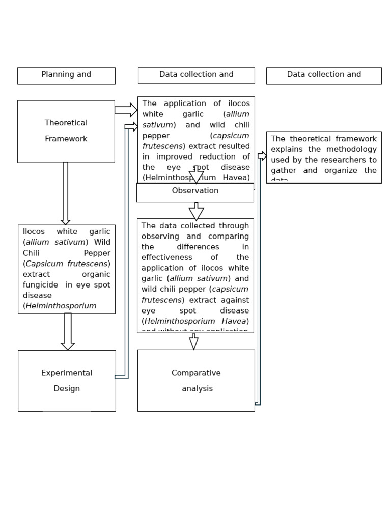 Theoretical Framework | PDF