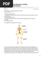 LKPD SISTEM RANGKA MANUSIA | PDF