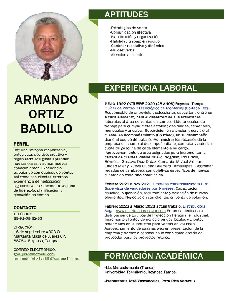 CV Armando O | PDF | Economias | Business