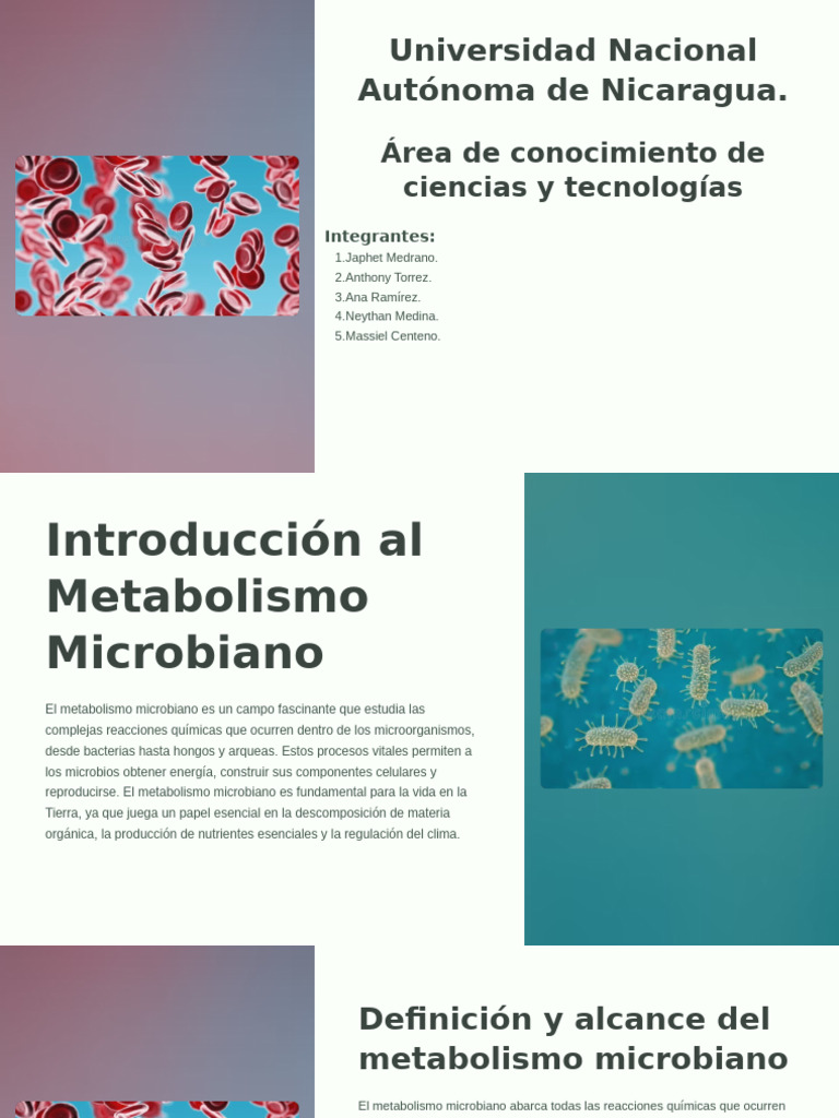Introduccion Al Metabolismo Microbiano Expo Corregida | PDF | Respiración celular | Metabolismo