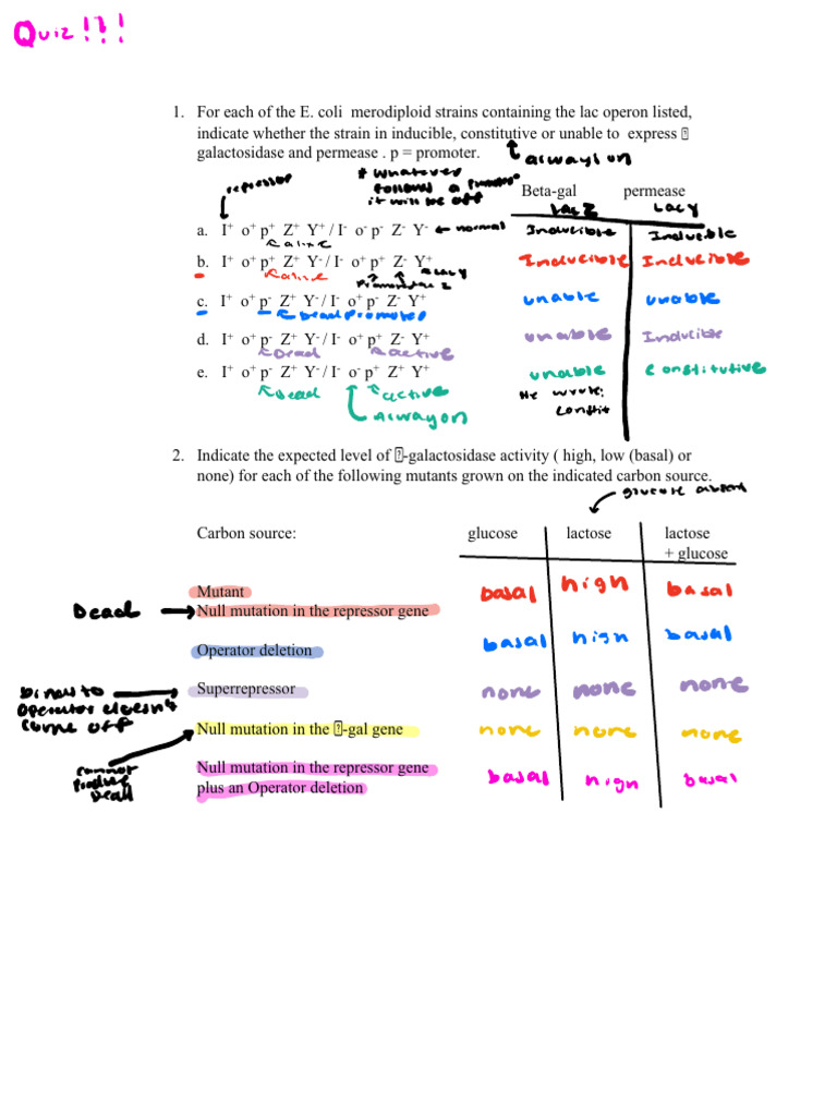 Problem Set 8 10 17 24 | PDF