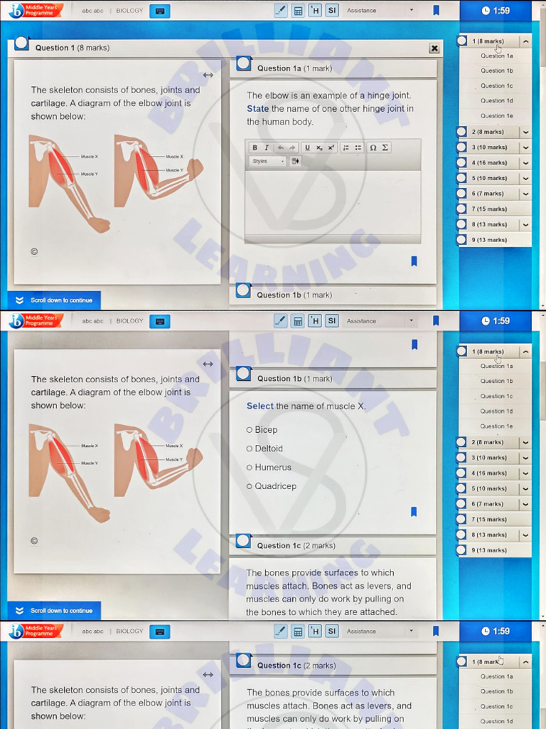 m23 Biology Myp | PDF