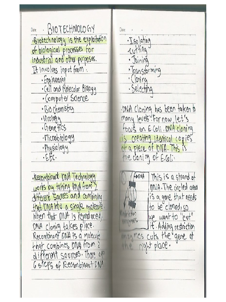 Biotechnology-Revision Notes | PDF