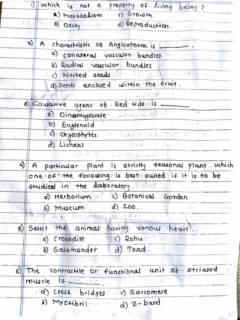 Xi Practice Questions | PDF