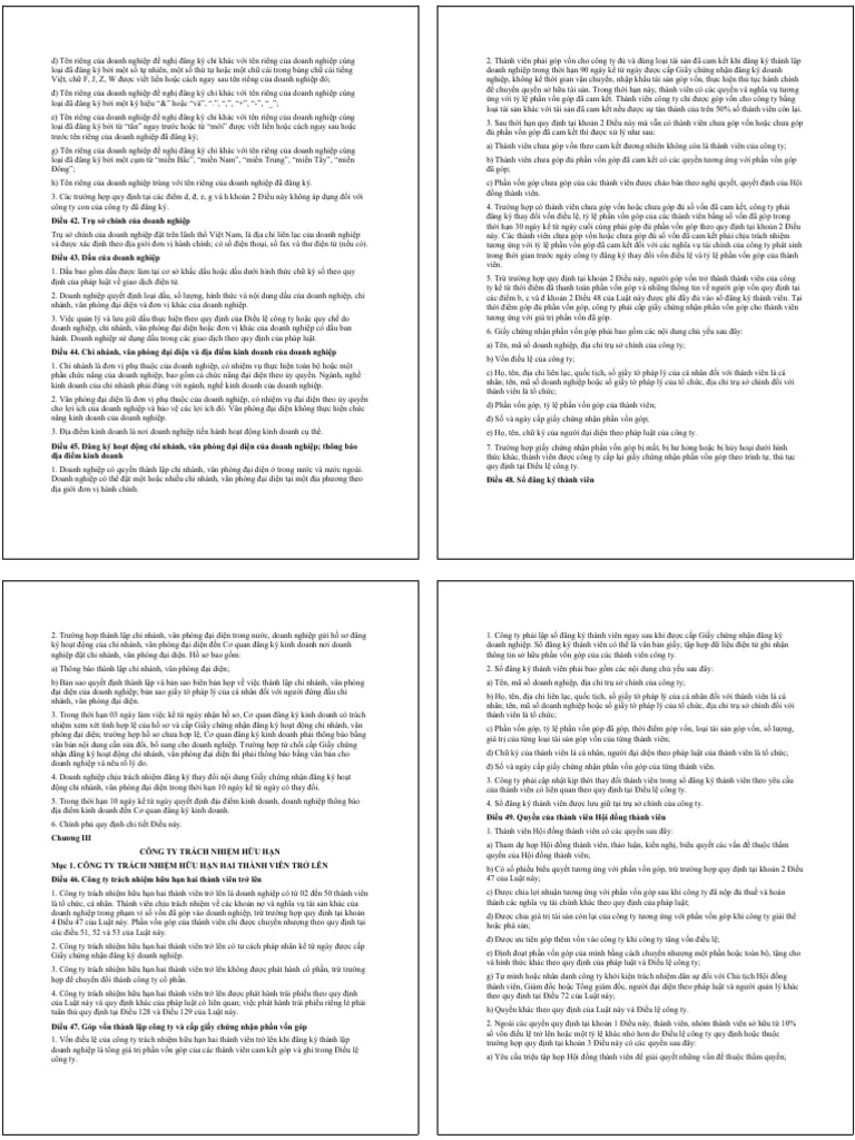 Luật DN - 2 | PDF