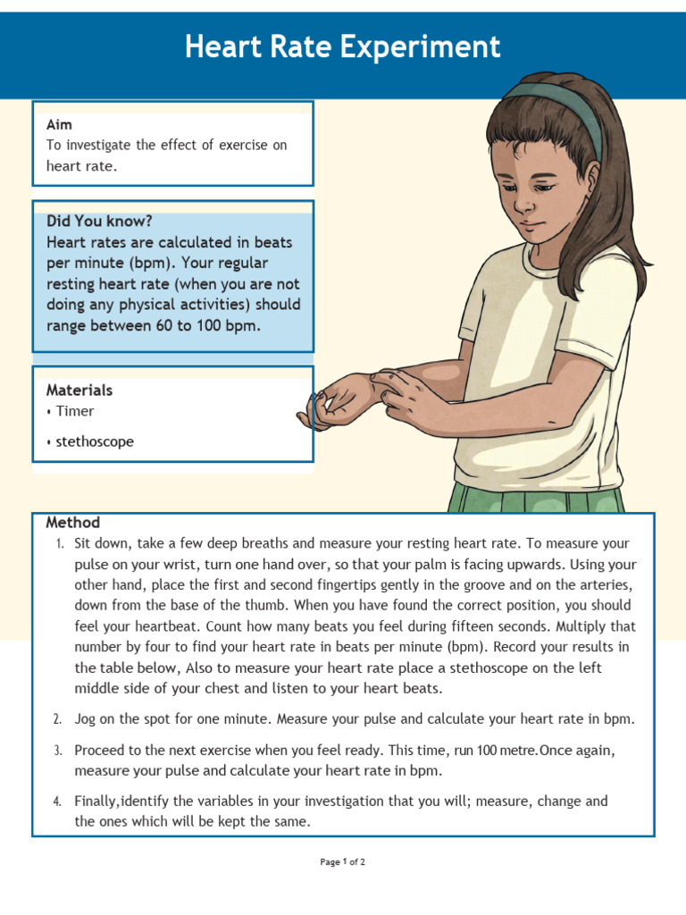 Heart Rate Year Six Project | PDF | Heart Rate | Heart