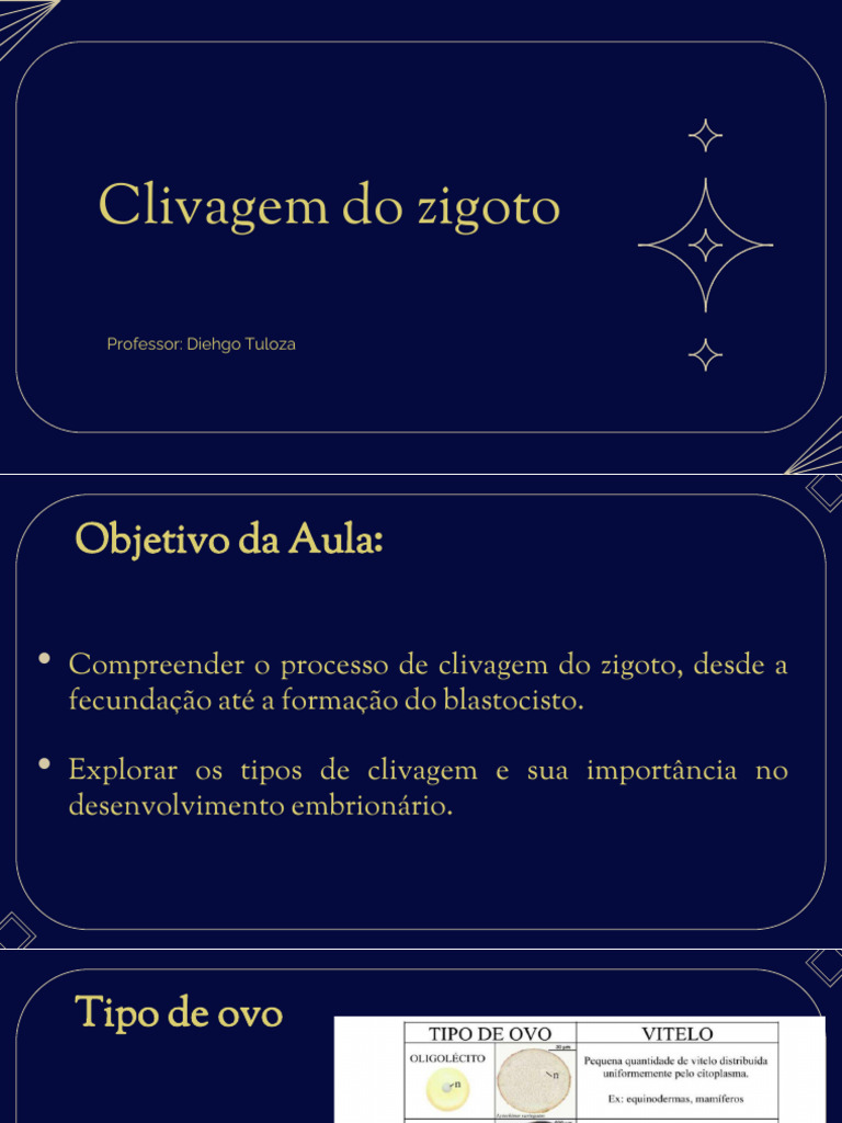 Clivagem do Zigoto e Desenvolvimento Embrionário | PDF | Ovo | Biologia