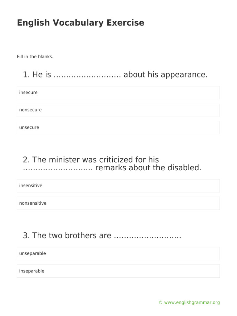 English Vocabulary Exercise | PDF