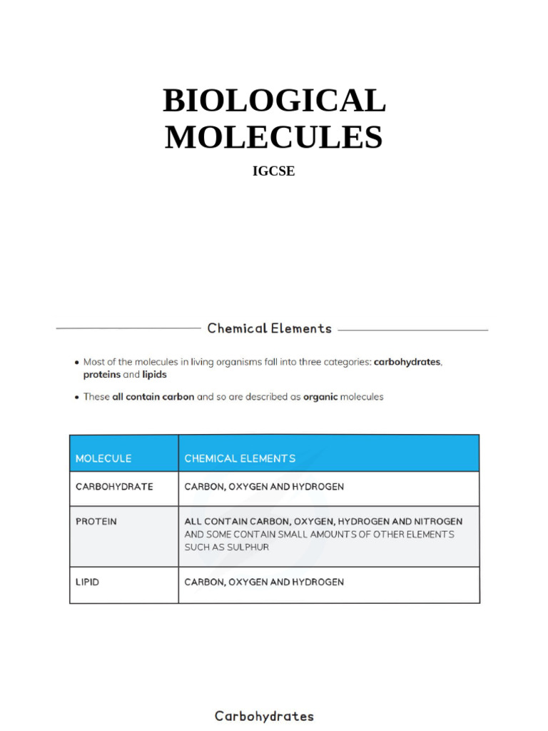 Biological Molecules | PDF