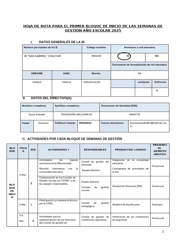 Hoja de Ruta 2025 | PDF | Aprendizaje
