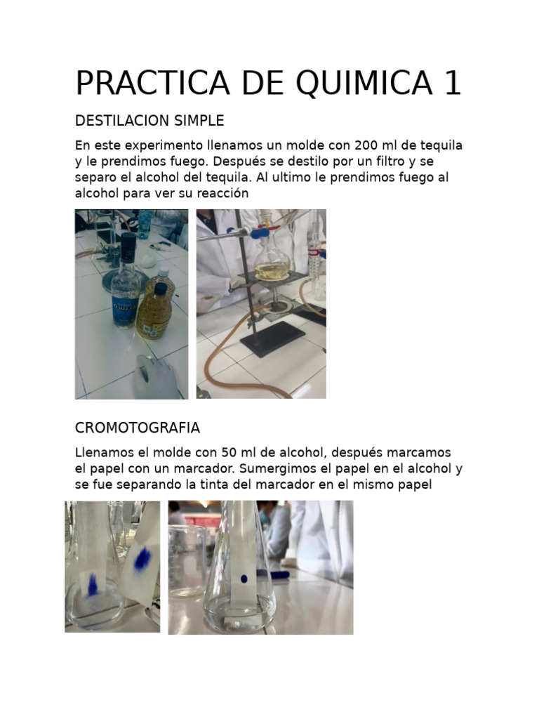 PRACTICA DE QUIMICA 1 | PDF