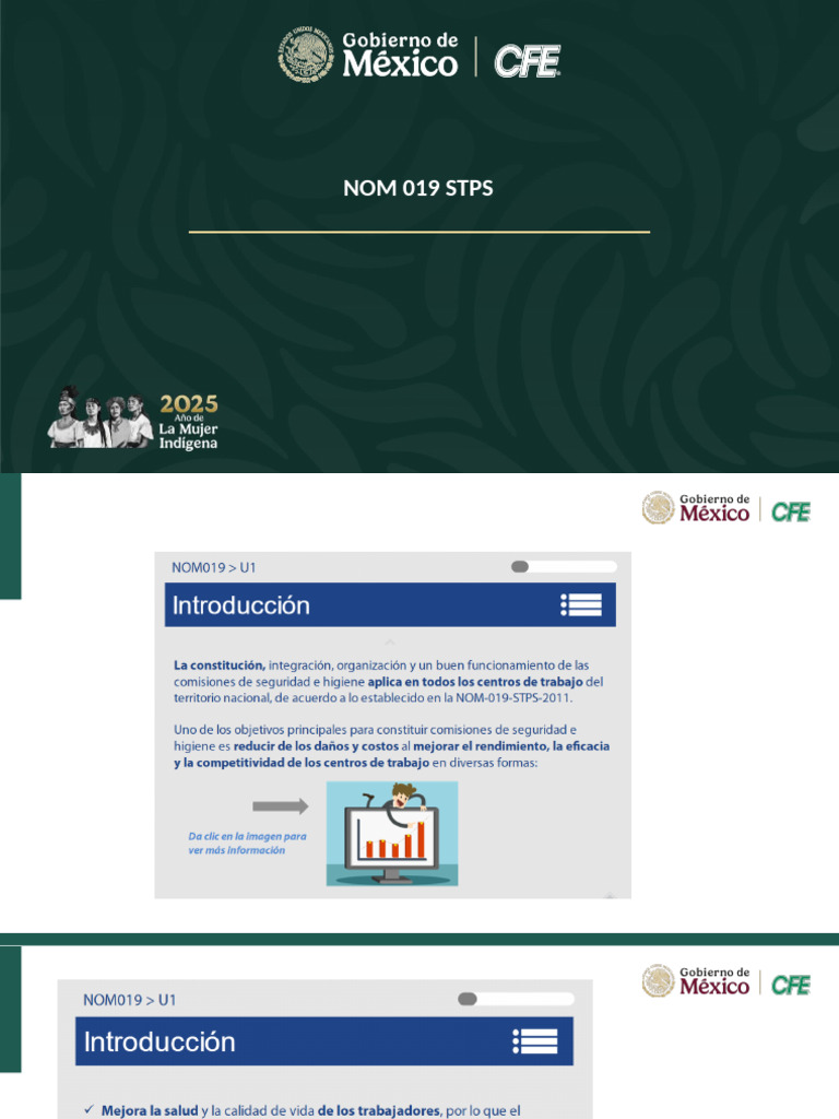Presentacion Nom 019 v2 (2) | PDF