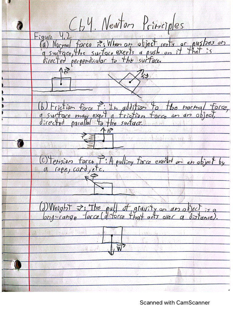 Ch4. Newton Principles | PDF