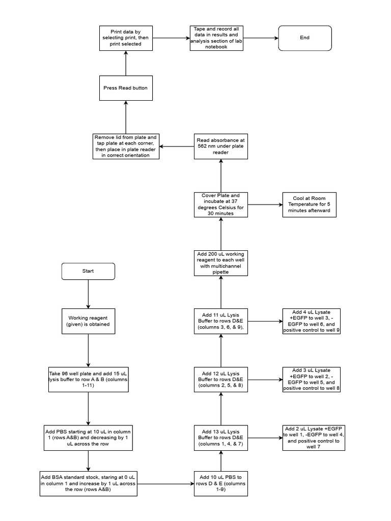 BCA Assay Flowgram - Drawio | PDF | Laboratory Techniques | Laboratories