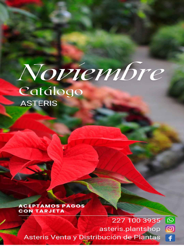 Catálogo 30 Asteris Plantas | PDF