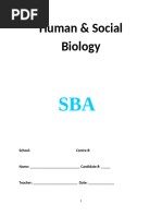 SBA Final Layout | PDF | Page Layout