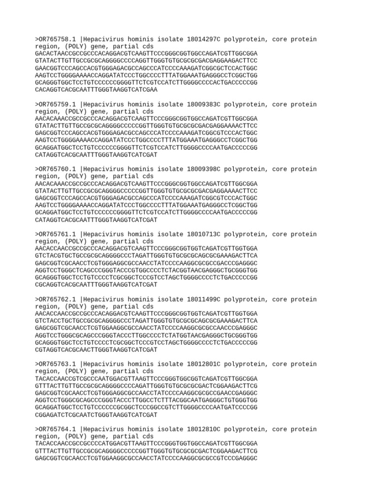 Sequences(13).Fasta | PDF | Gene | Rna