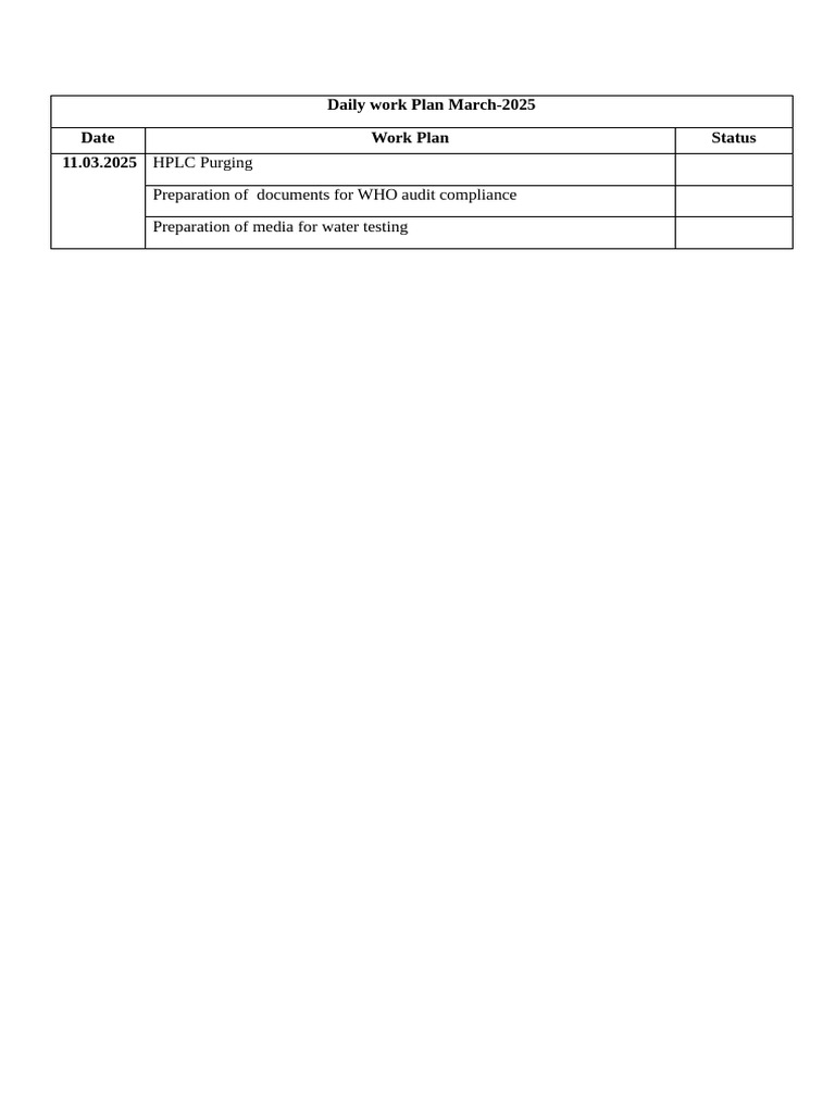 Daily Work Plan 11.03.2025 | PDF