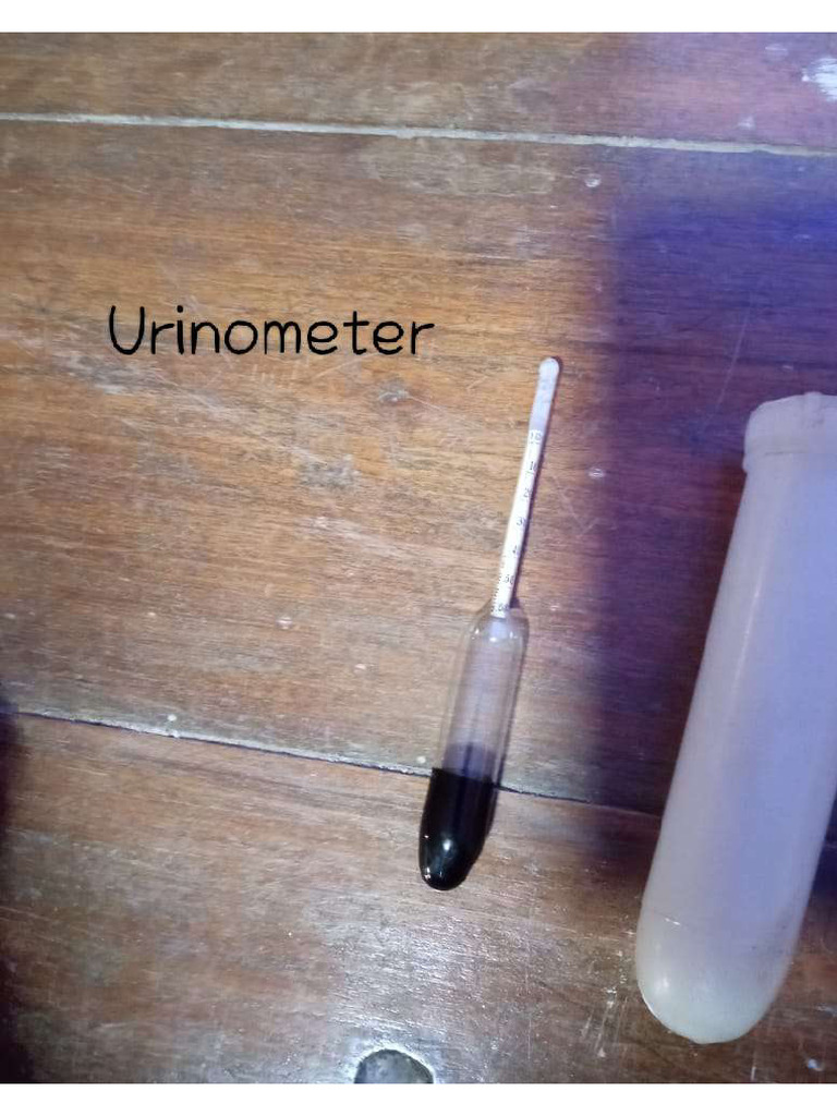 Patho Spotters | PDF