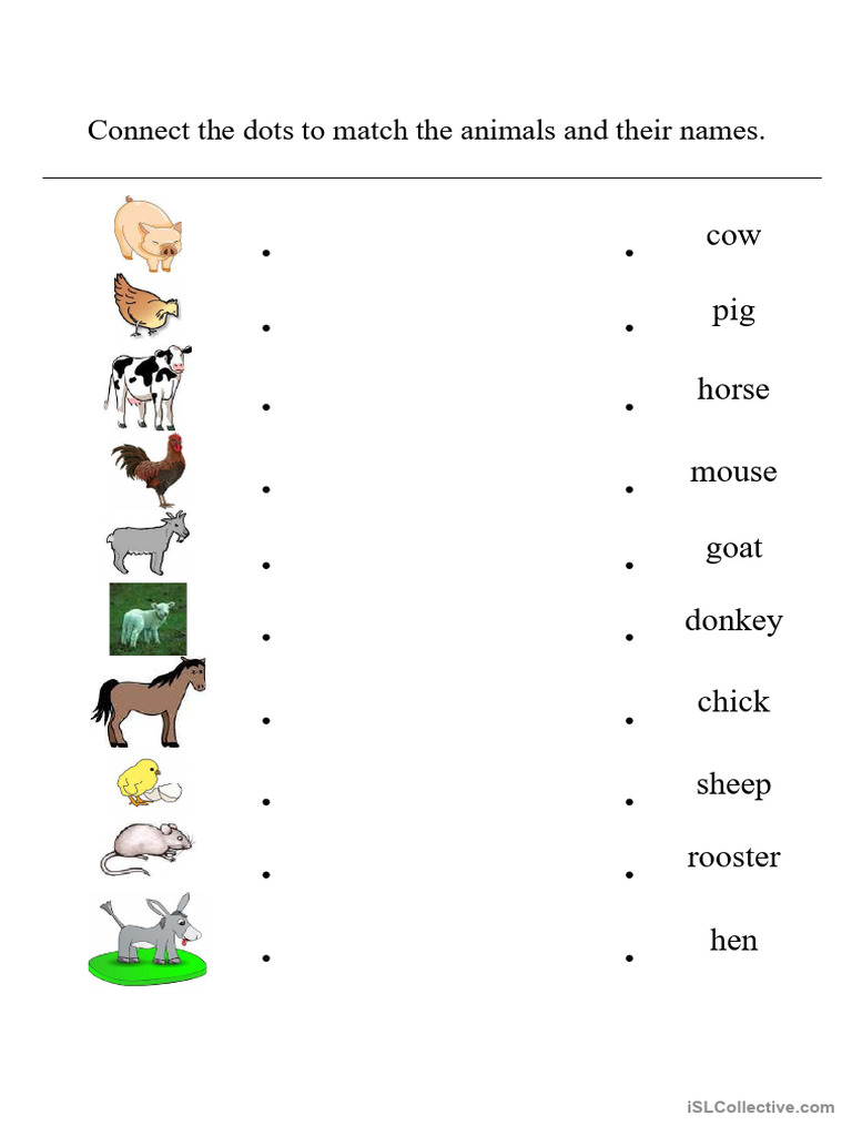 Domestic Animals - Matching Sheet | PDF