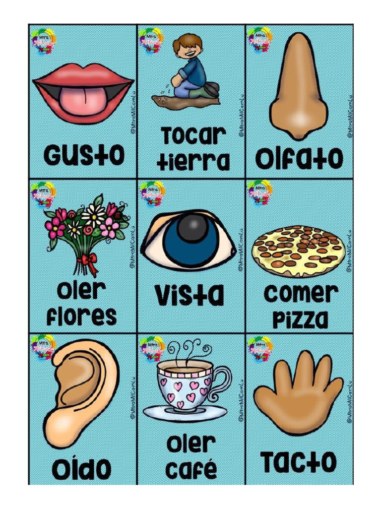 Memorama de Los 5 Sentidos | PDF