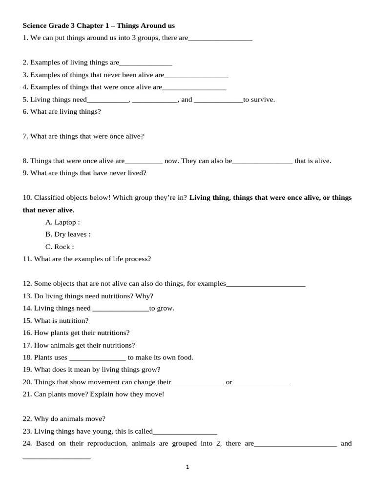 Grade 3 - Review Chapter 1 Things Around Us | PDF | Life