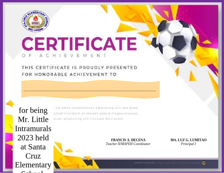 CERT. FOR MR. N MS. INTRAMS | PDF